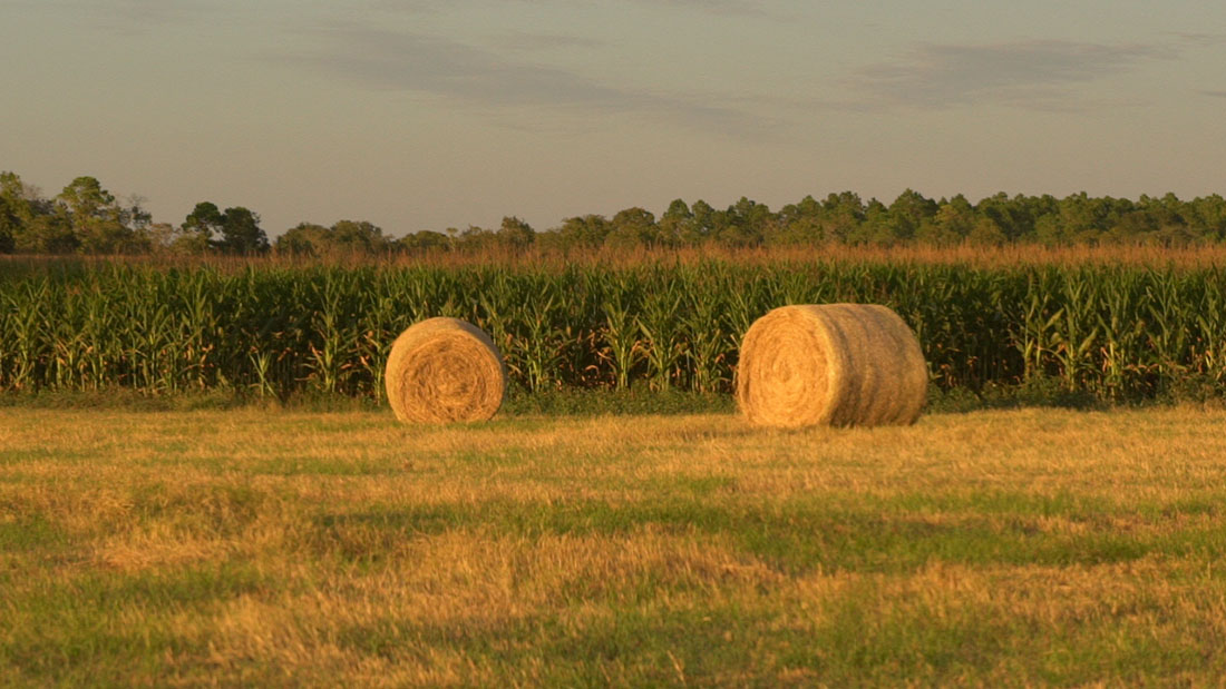Our Farm - FPL